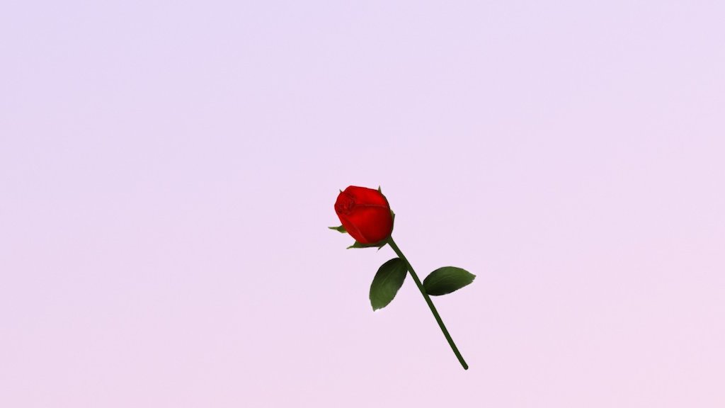 Rose2 - 3D model by harrychen [b1ad121] - Sketchfab