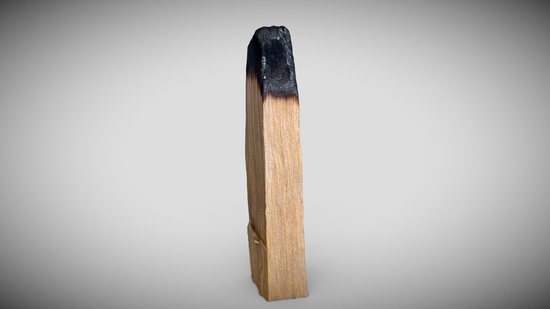 Burned stick - Download Free 3D model by Igngg [b1b3f45] - Sketchfab