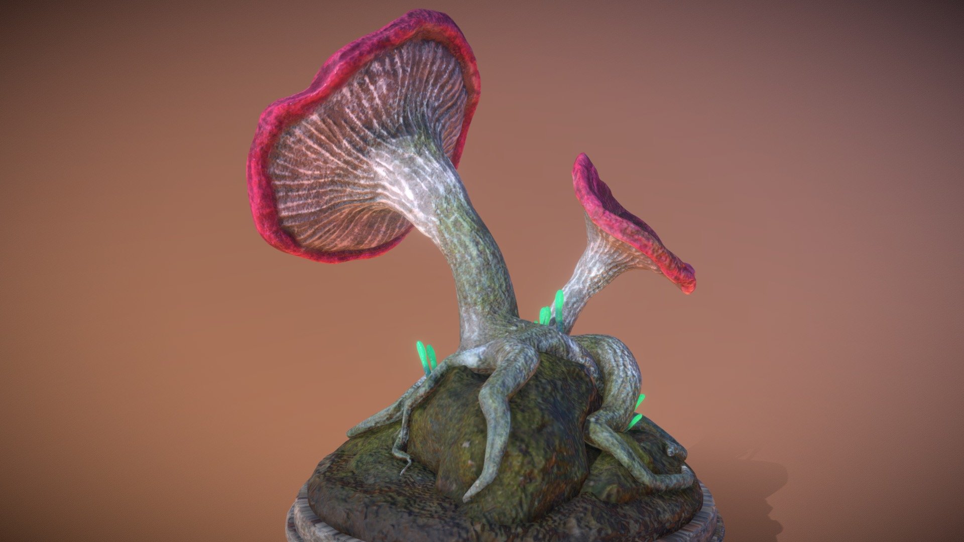 Mushroom Specimen - 3D model by IsaacDejesusBuckman [b1b8515] - Sketchfab