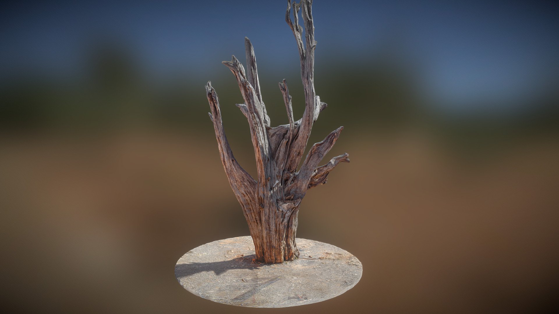 Monastery Of Arkadi Tree with Bullet from 1866. - Buy Royalty Free 3D ...