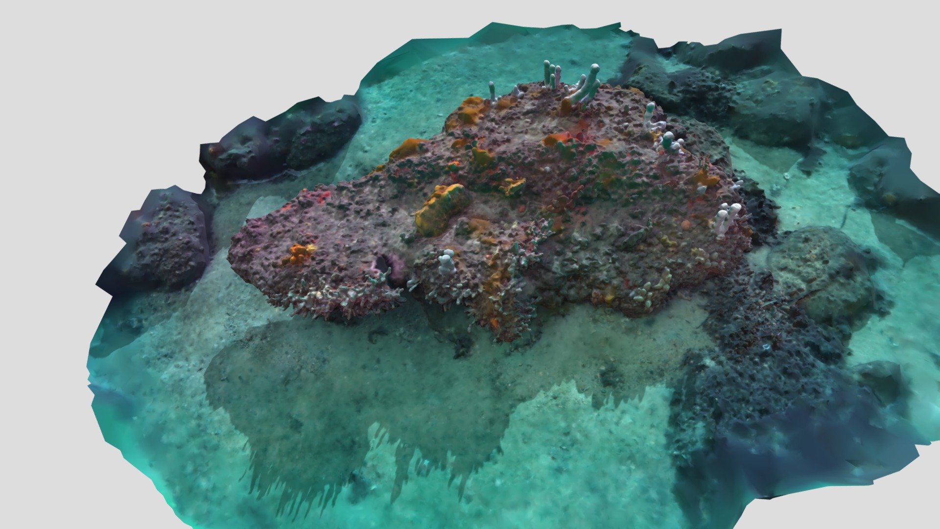 Bare Island Flat Rock - Download Free 3D model by johnturnbull [b1c2a8d ...