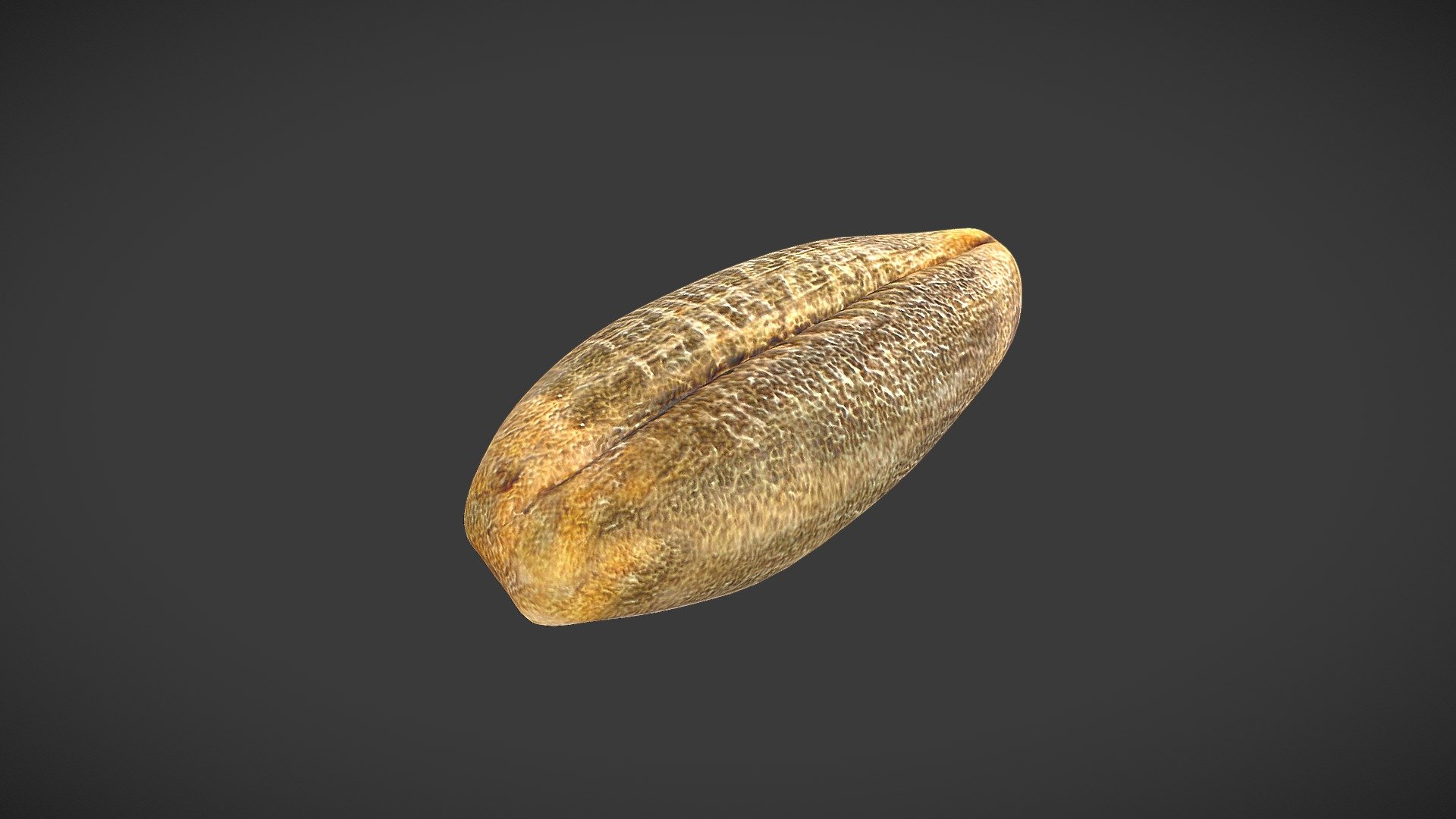 Rye - 3D model by Oregon State University | Ecampus [b1c9679] - Sketchfab