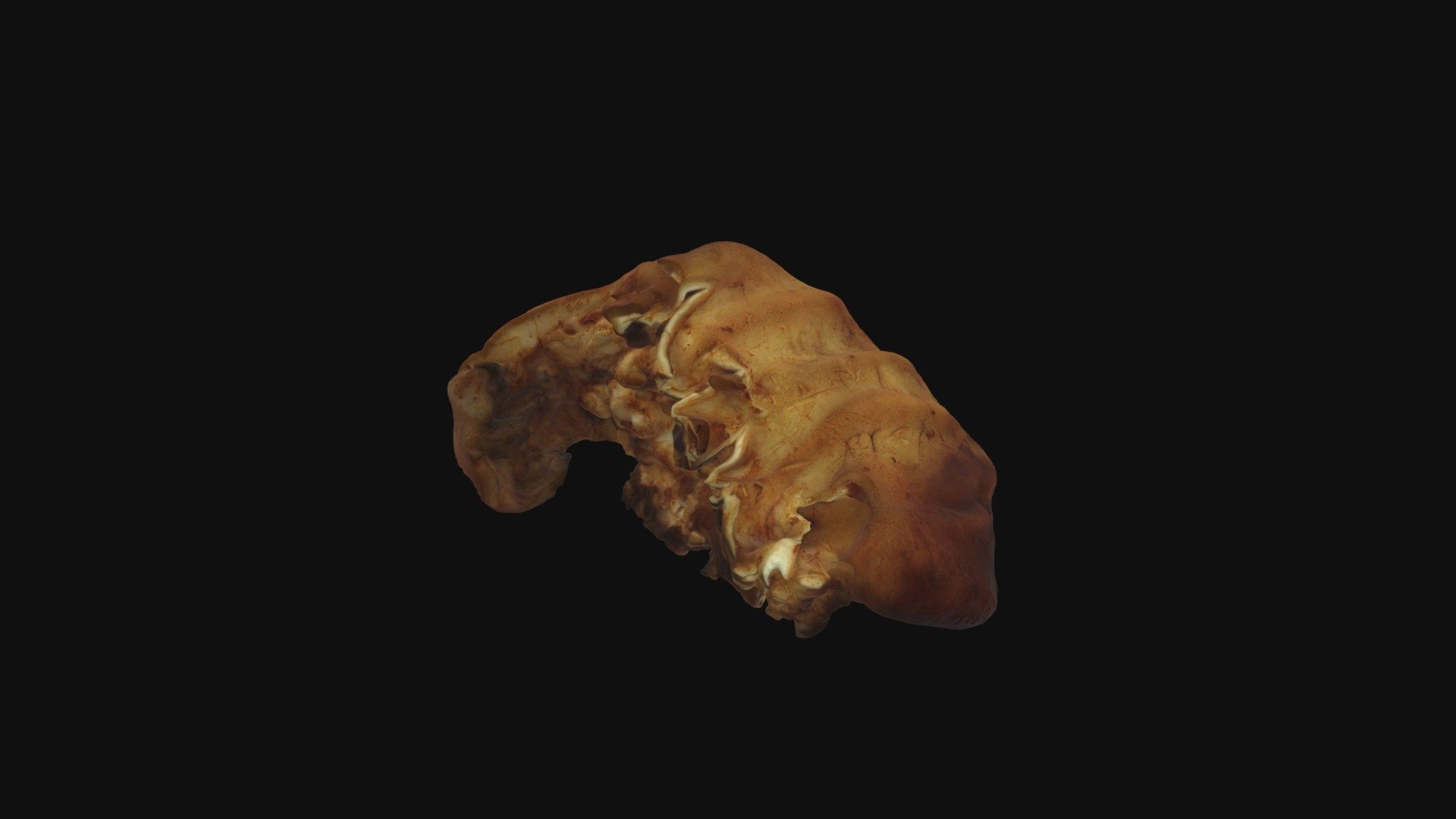 Chinese-style brine pig ears - Download Free 3D model by Andykk ...