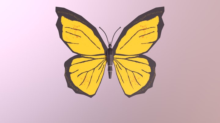 Low-poly-butterfly 3D models - Sketchfab