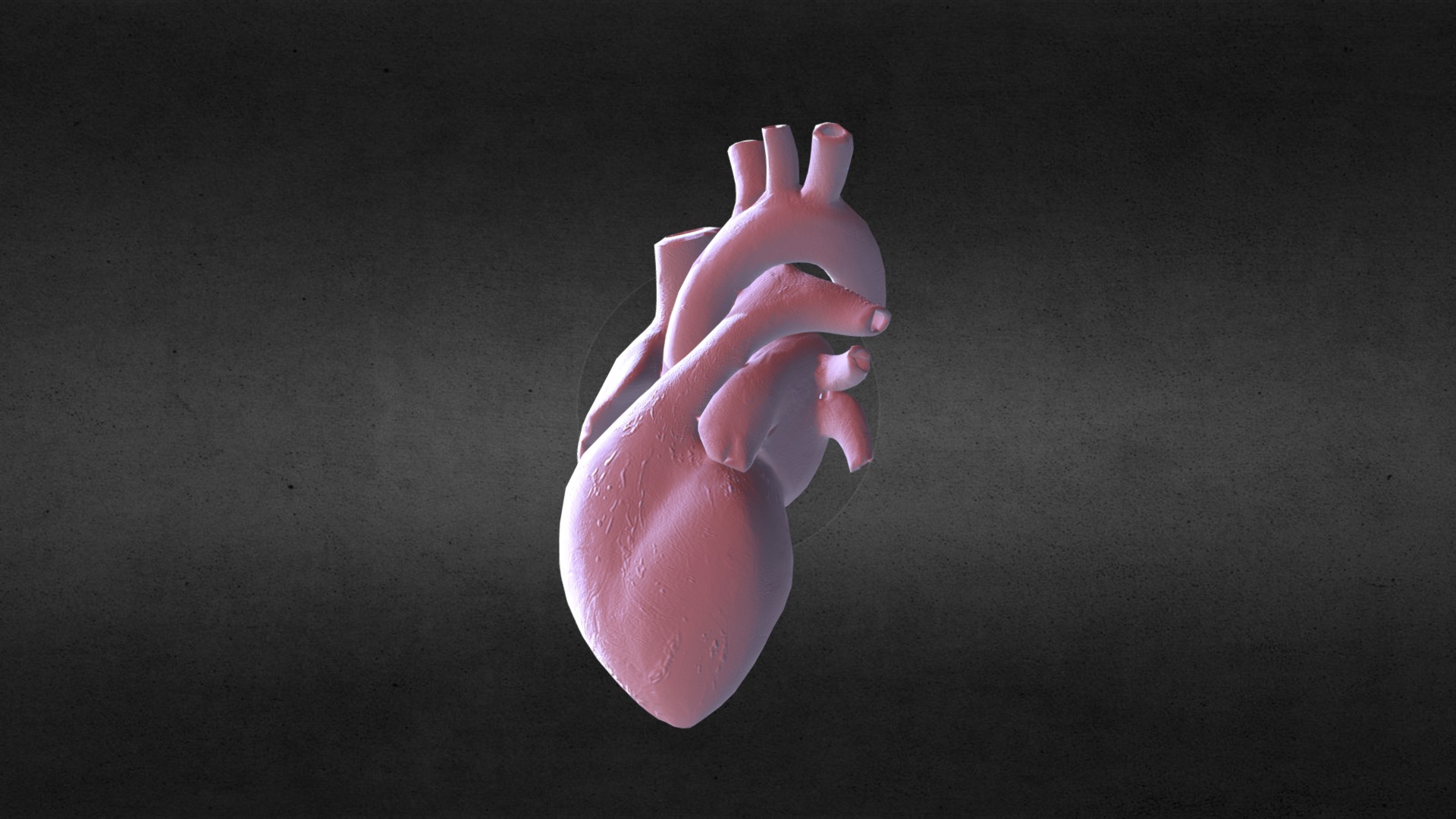 Corazón Completo - 3D model by CEFIECS [b1d0daa] - Sketchfab