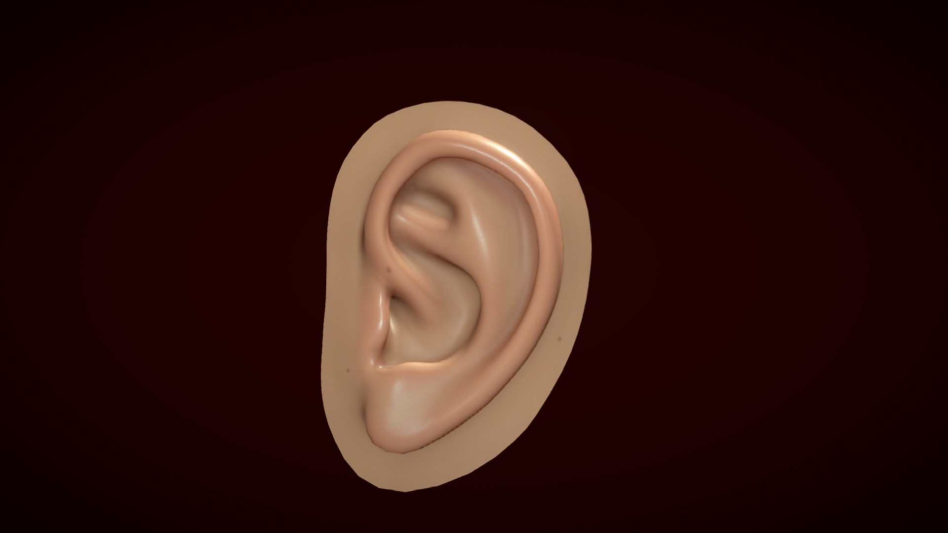 Ear - Buy Royalty Free 3D model by phi (@o0i0o) [b1da1fd] - Sketchfab Store