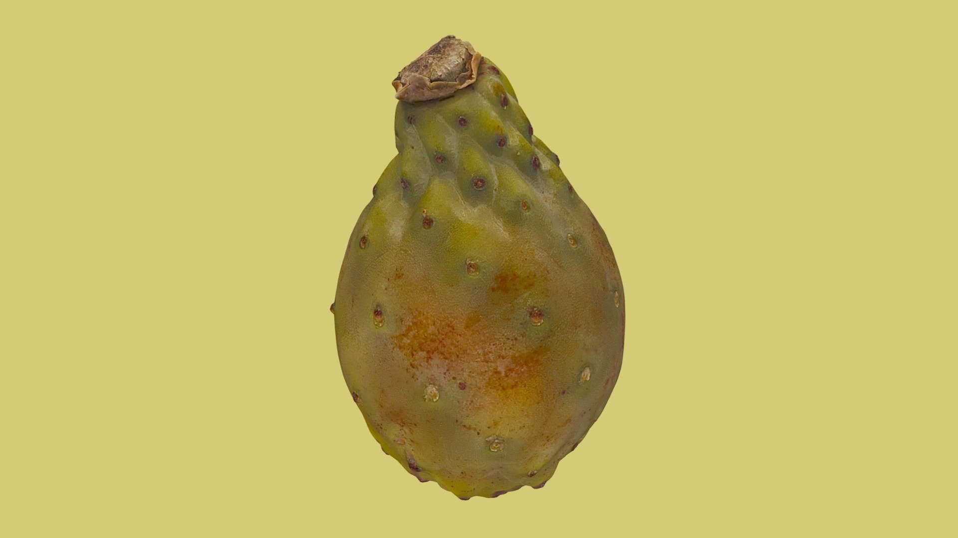 3D Scanned Prickly Pear Fruit - Download Free 3D model by a-python ...