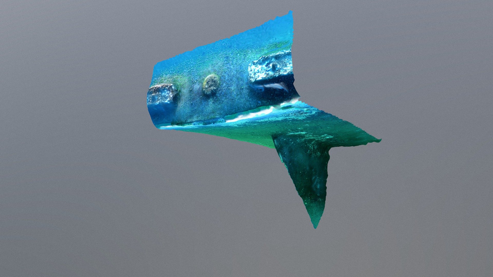 Domus Transom to Keel - 3D model by jackscott [b1ea9f4] - Sketchfab