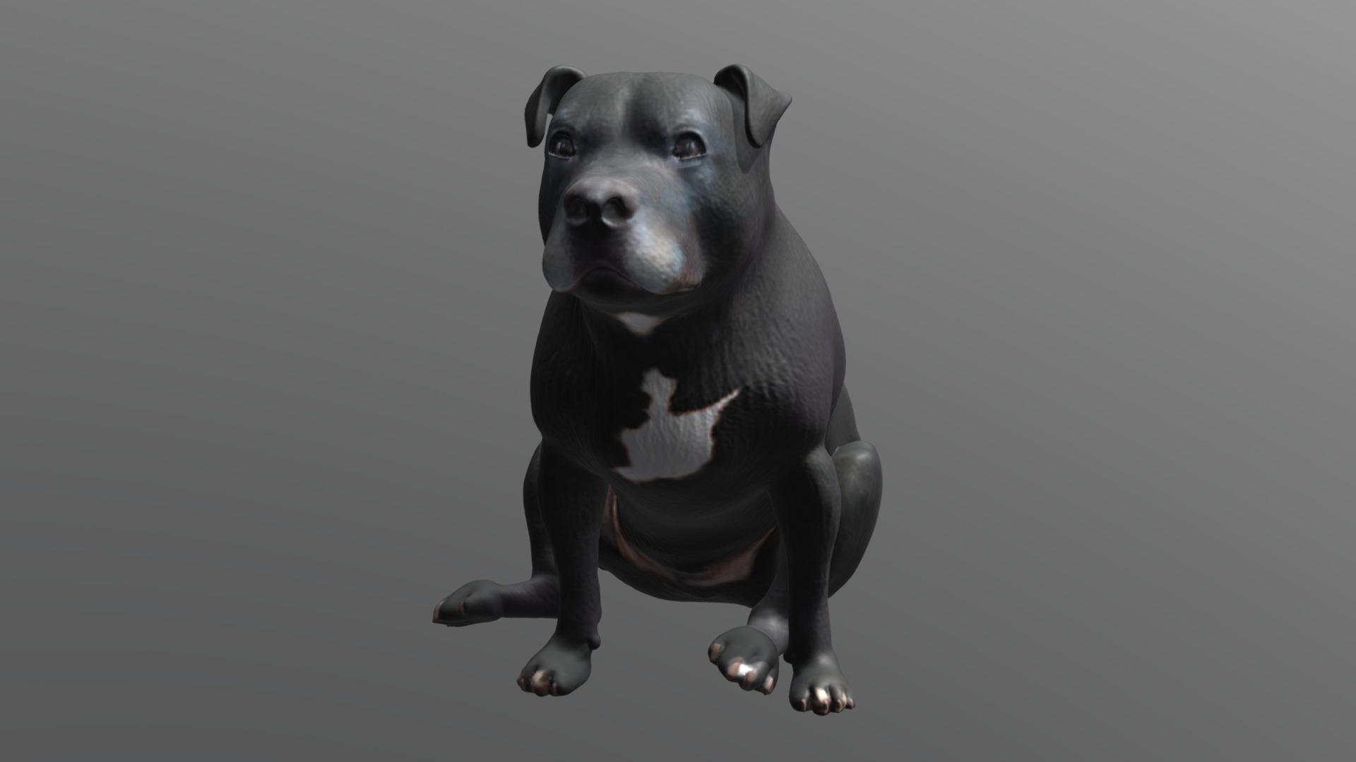 1901022- Sparx- Staffy - 3D model by Arty Lobster - Pet Sculptures Made ...
