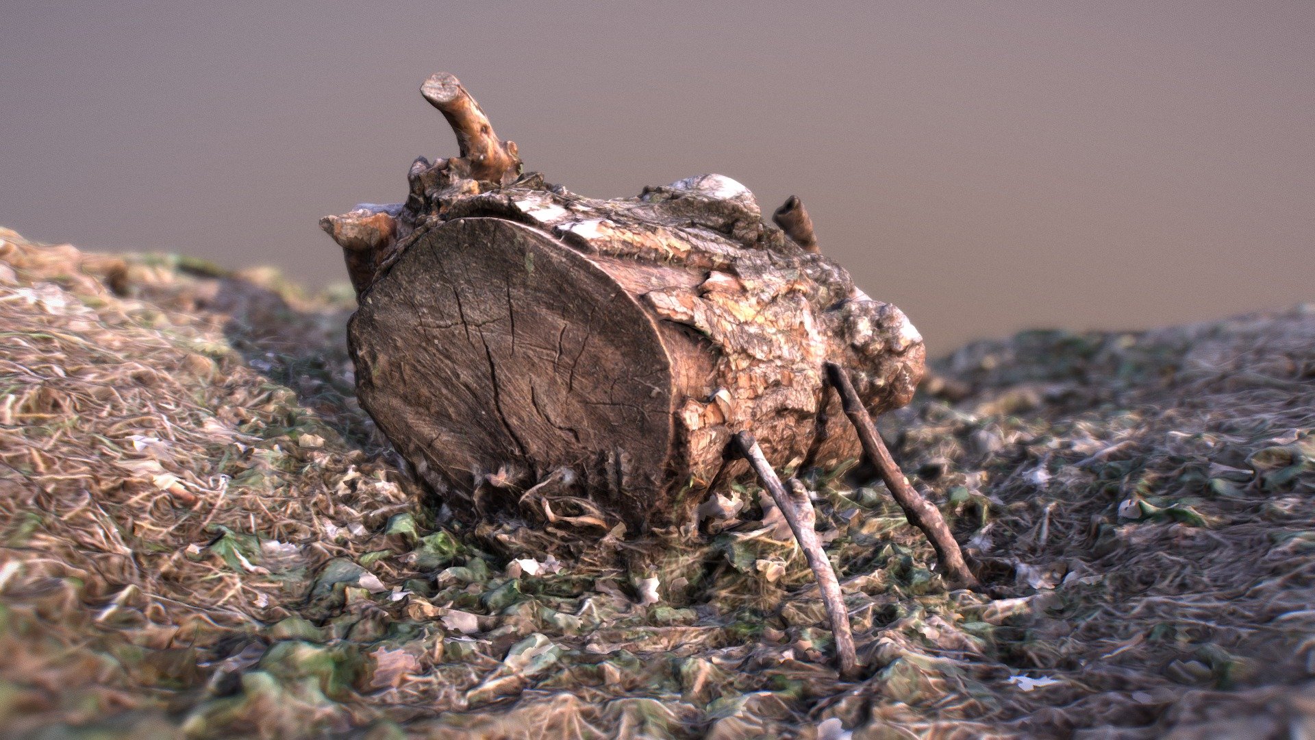 The Broken Tree - 3D model by Davi (@Davi_Pica) [b1f2c7c] - Sketchfab
