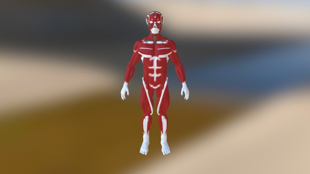 ECORCHE - 3D model by Francisco_Javier_Jimenez_V [b1f572b] - Sketchfab