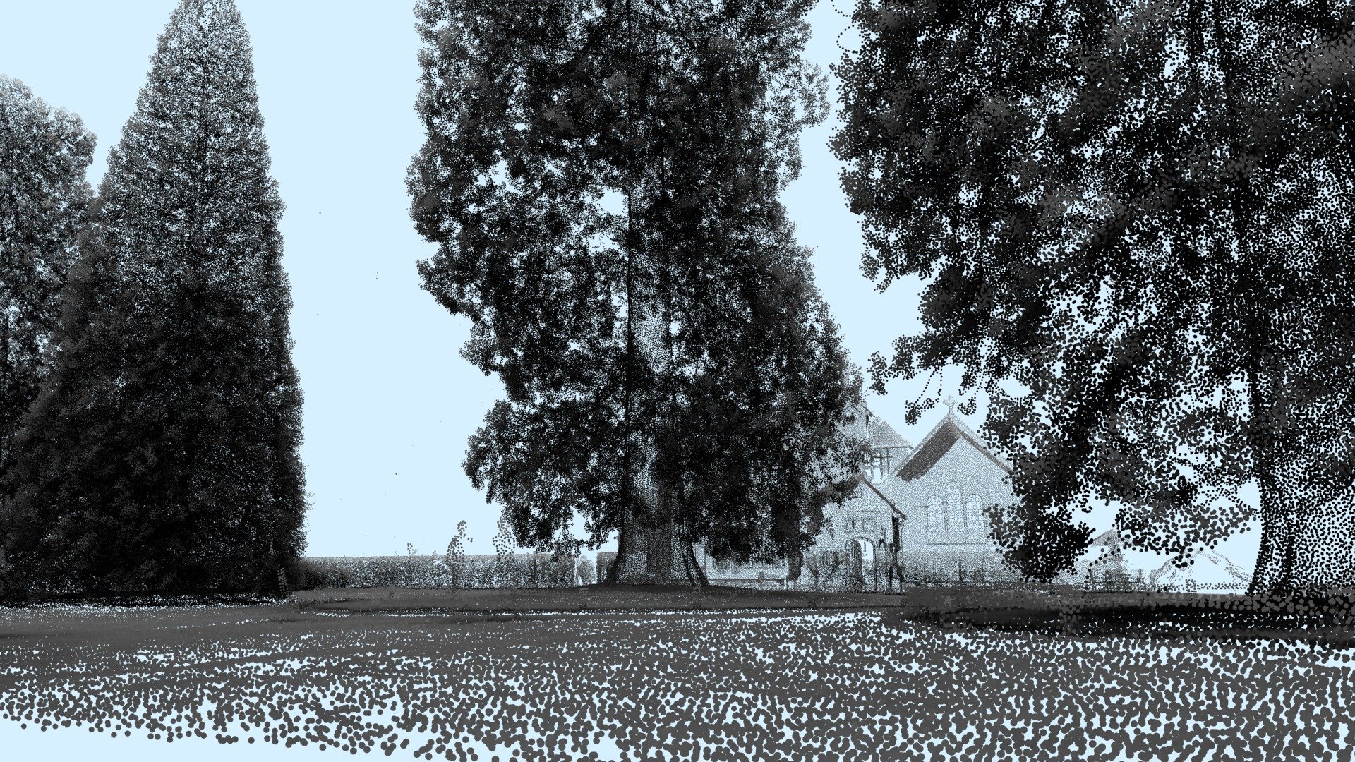 Park,tree,point cloud,Lidar scan 3D - 3D model by Deeper (@deeperstudio ...