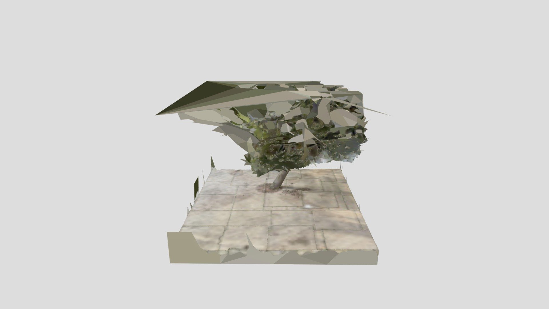 tree project - 3D model by Mzangrea [b2020c9] - Sketchfab