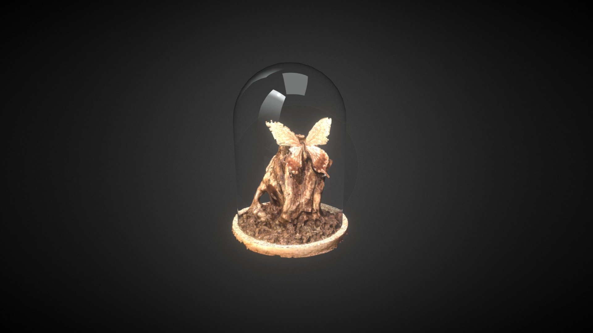 #SCAN - Butterfly - Download Free 3D model by SH3D | KUB (@itskub ...