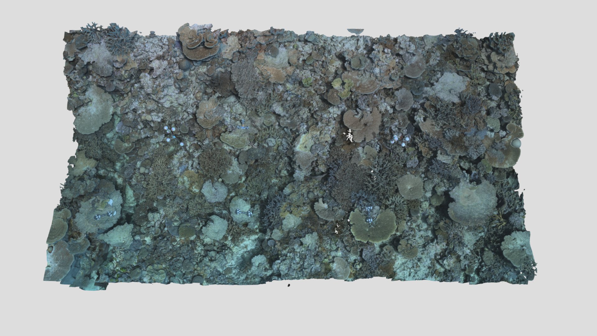 Heron_BA2S_P1_202205 - Download Free 3D model by EcoRRAP (@AIMSEcoRRAP ...