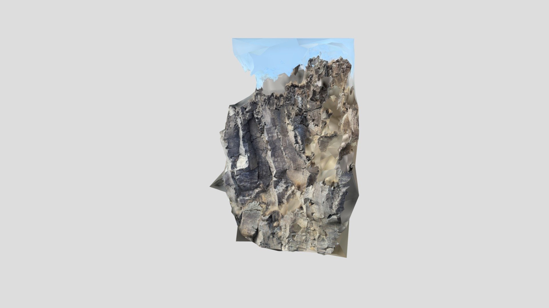 Bear Paw 1 - Download Free 3D model by Calley Freedom (@calleyfreedom ...