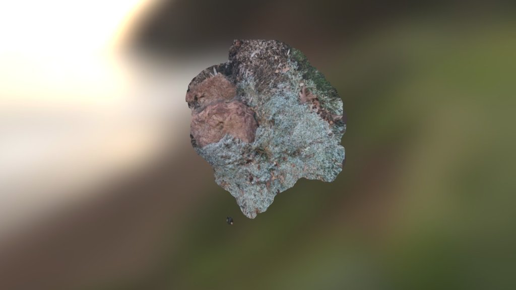Moss lump and rock - Download Free 3D model by Taramoto [b211a98 ...