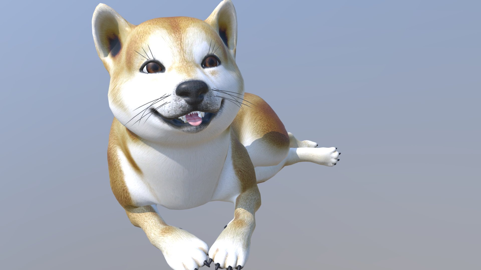 Shiba Inu Dog - 3D model by HardzGal [b212650] - Sketchfab