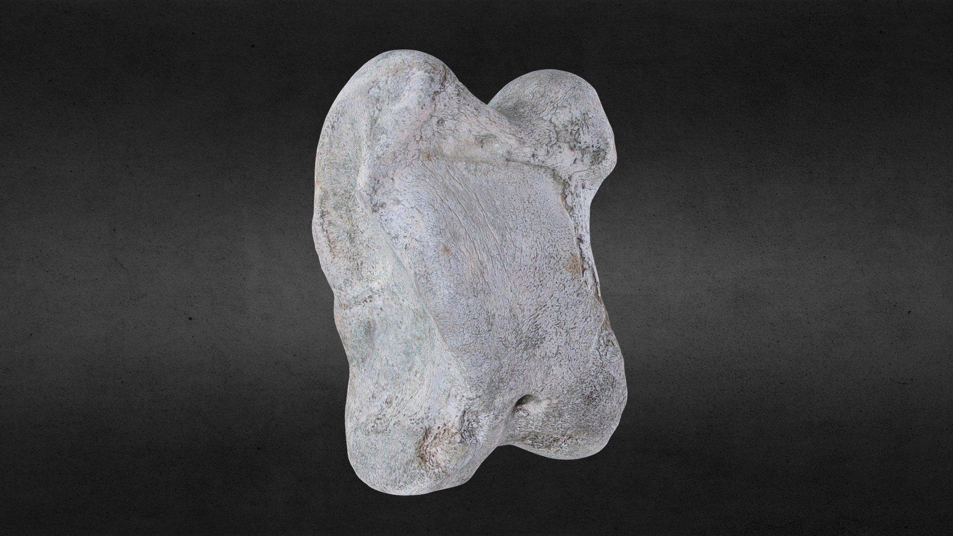 Bos taurus astragalus - 3D model by Leonardo Lobo (@leonardolobo ...
