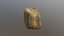 USNM V 8254 Equus lambei molar (VCU_2985) - Download Free 3D model by ...