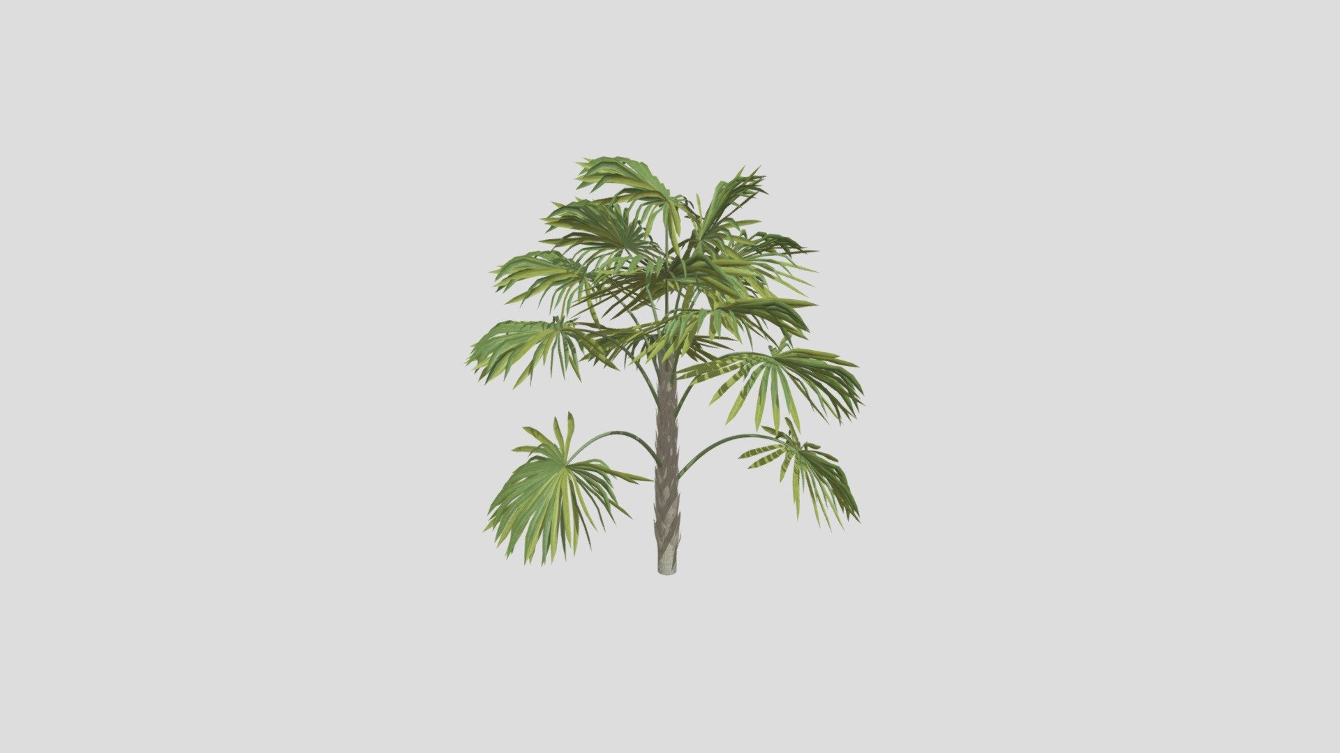 Tree Sample - 3D model by change.for.our.life [b221678] - Sketchfab