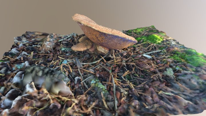 Malformed 3D models - Sketchfab