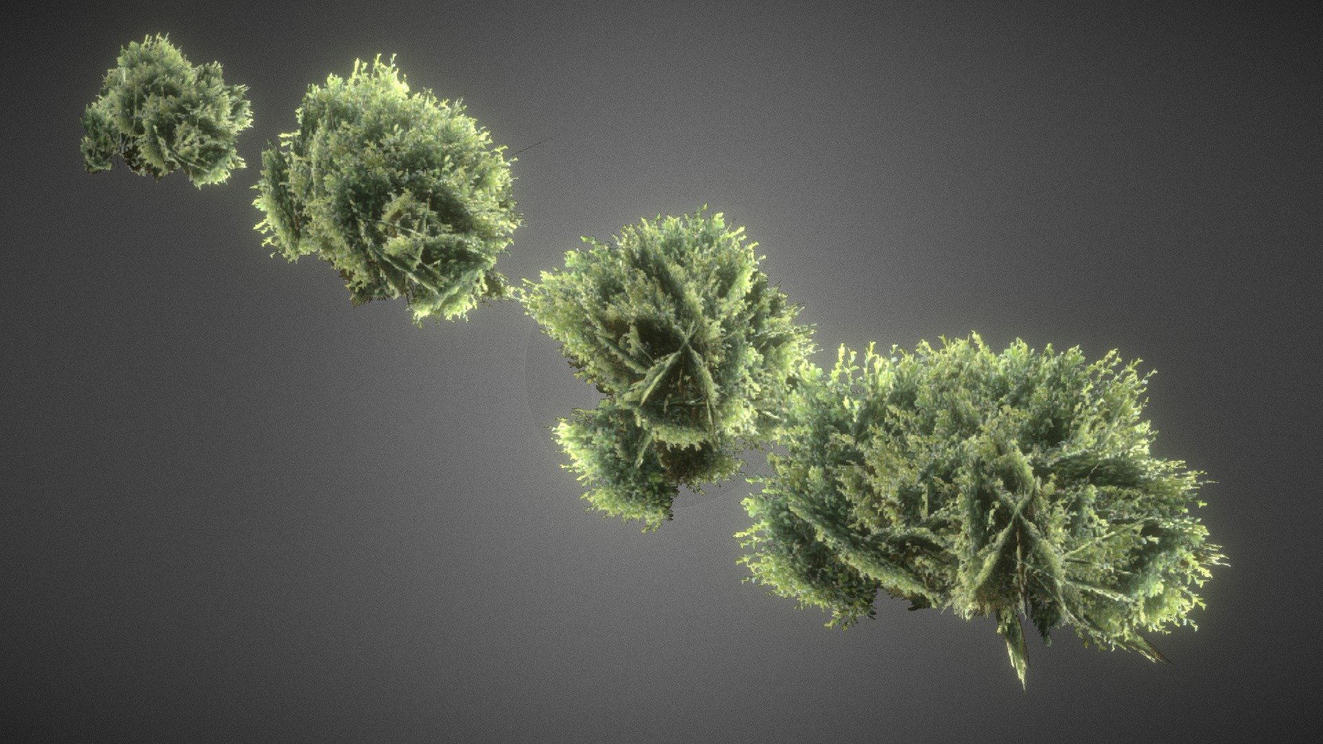 Bushes | Low Poly - Download Free 3D model by SayaSibaaa (@Tangguh2107 ...