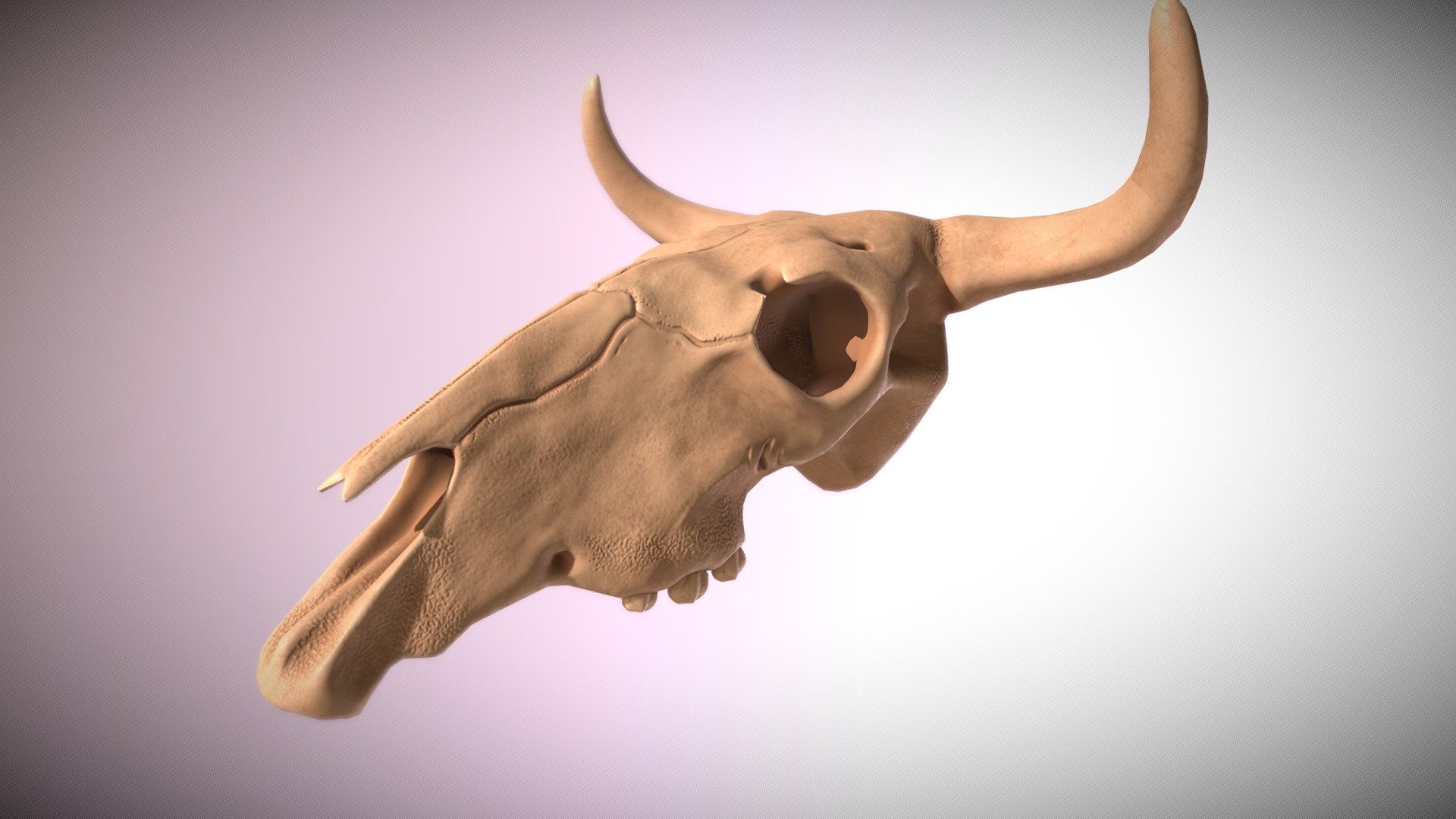 Bull skull Download Link In description - 3D model by SHiVTEJ [b252071 ...