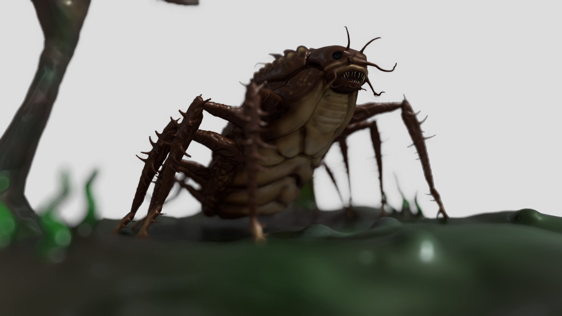 cockroach - Download Free 3D model by hajak69 [b2559a1] - Sketchfab