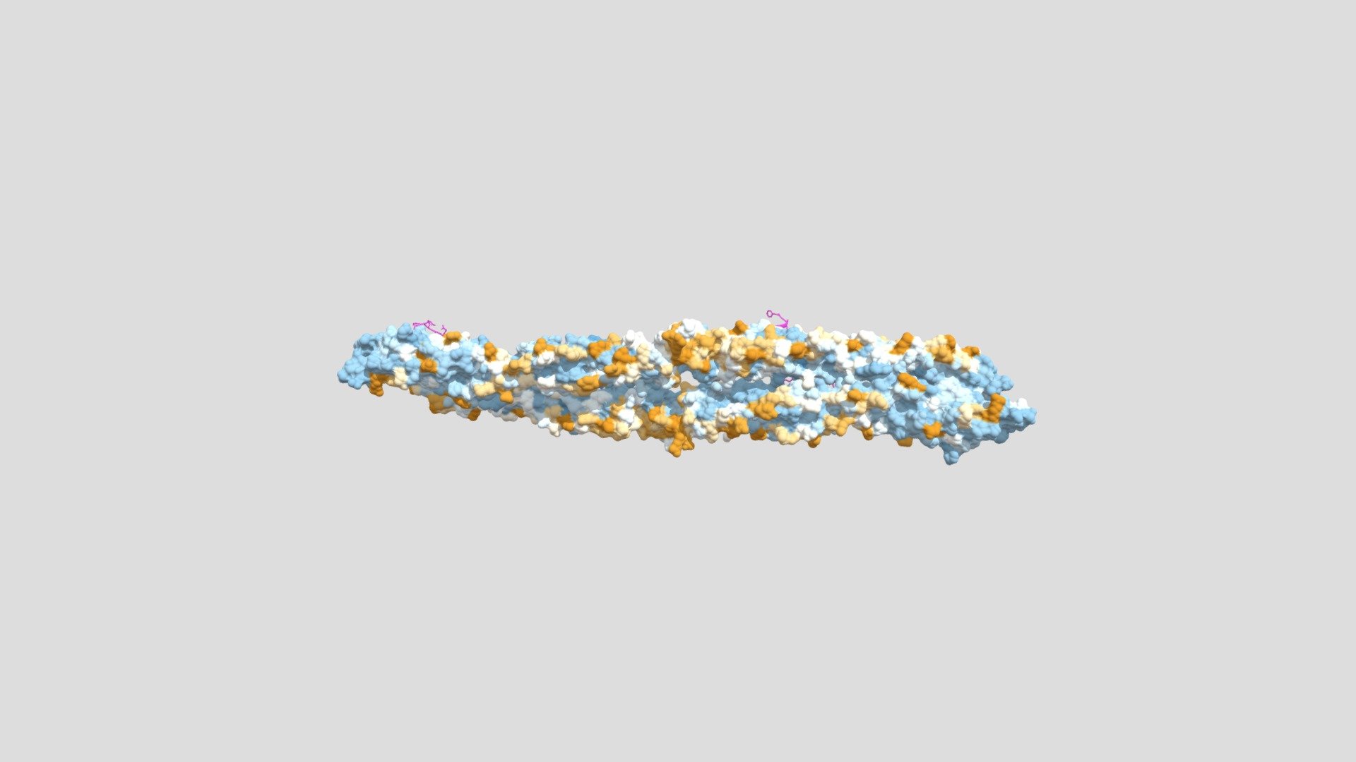 Actinin FATZ Figure 4F conservation - 3D model by kristina.djinovic ...