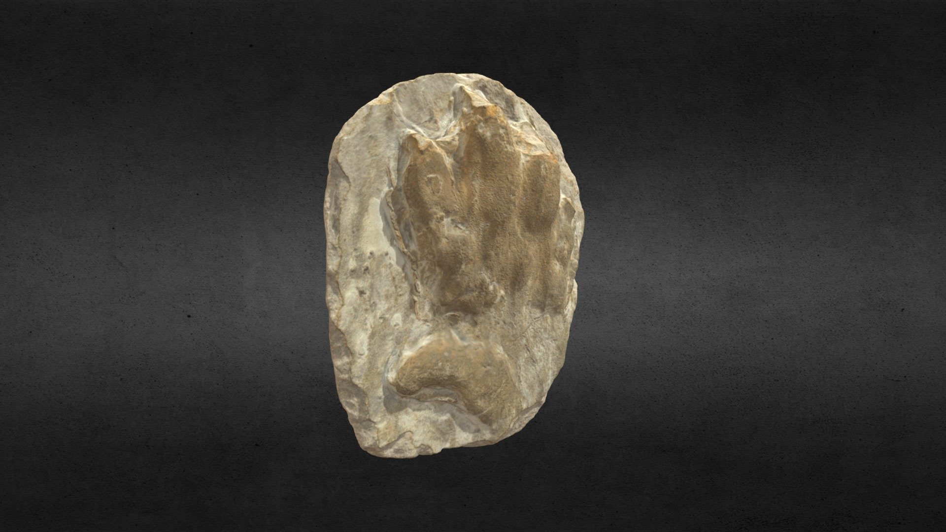 [1445]_GSM_57816_ Chirotherium_footprint - 3D model by 3d Fossils GB ...