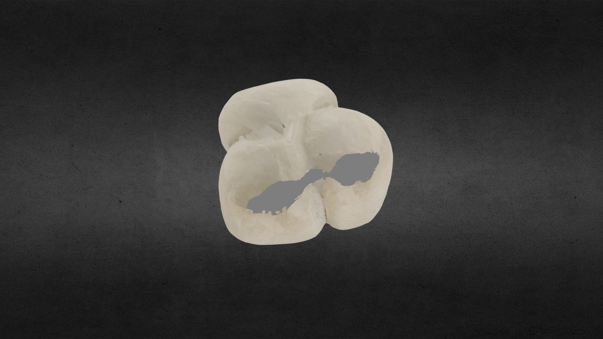 Funghi Rep - 3D model by fablab.orvieto [b2651da] - Sketchfab
