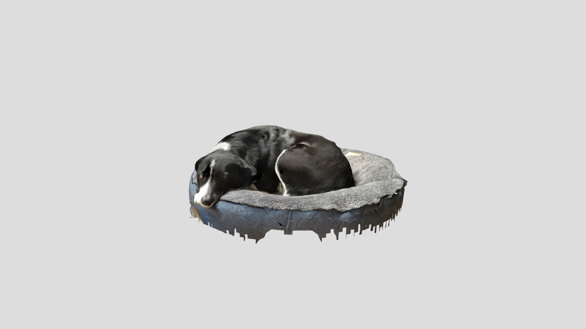 FLaka - Download Free 3D model by schupie [b265acc] - Sketchfab
