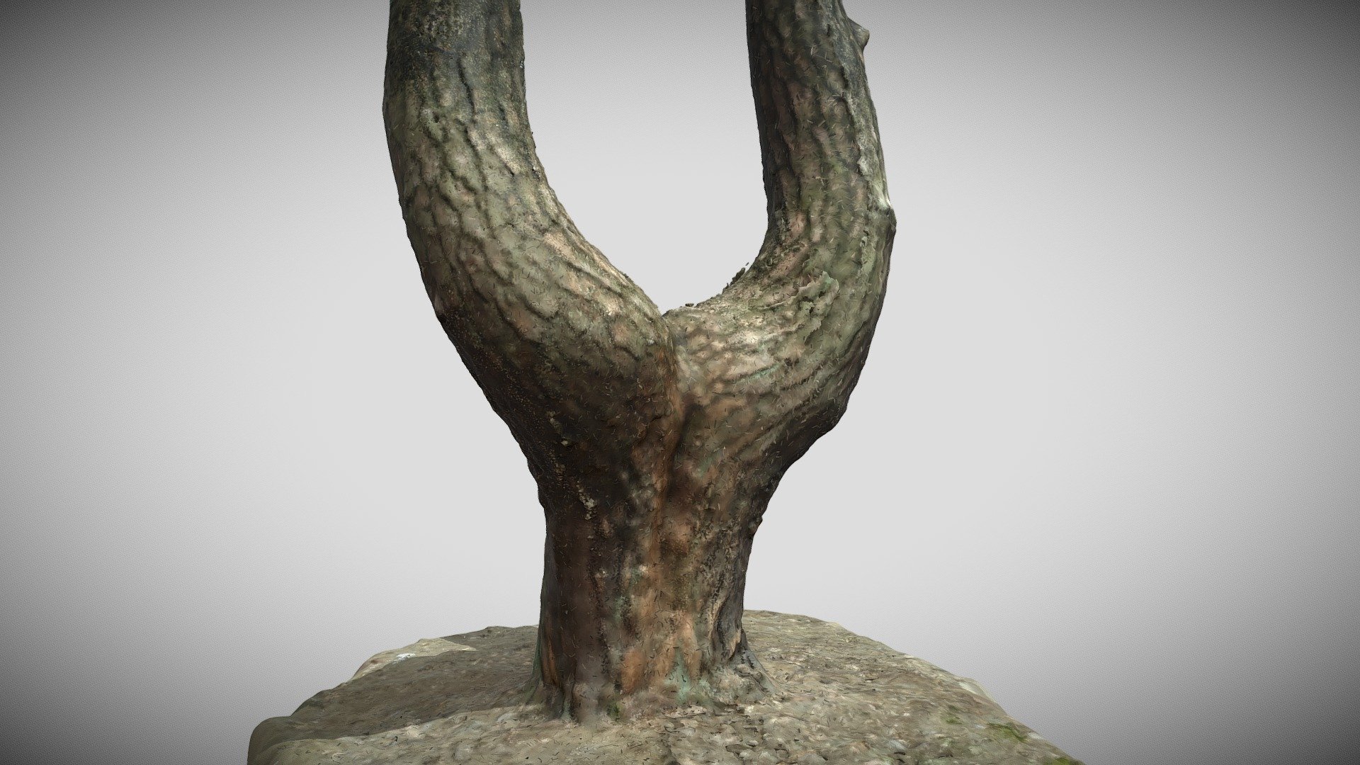 Double Base Tree | 3D Scan - Download Free 3D model by Sircher [b267d8b ...