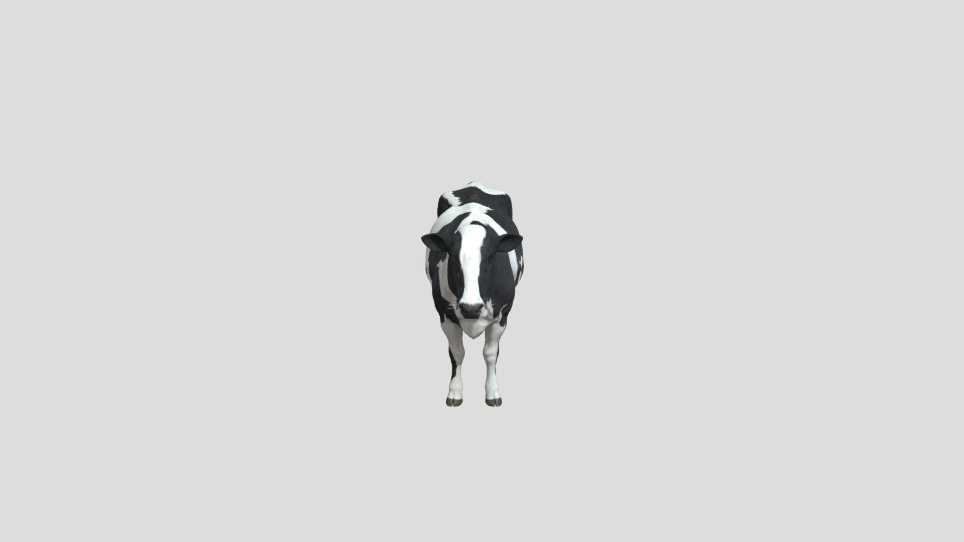Cow - Buy Royalty Free 3D model by Phil3D (@philosophie) [b271537 ...