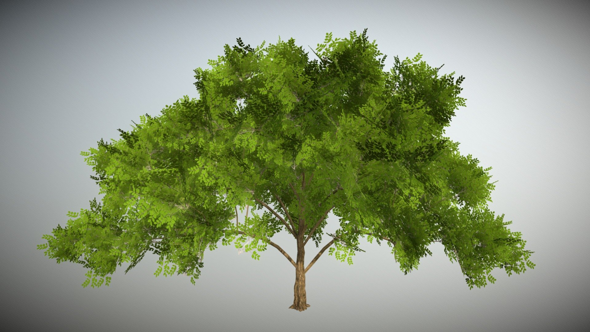 Realistic Tree Models For Games - Download Free 3D model by Mega Tree ...