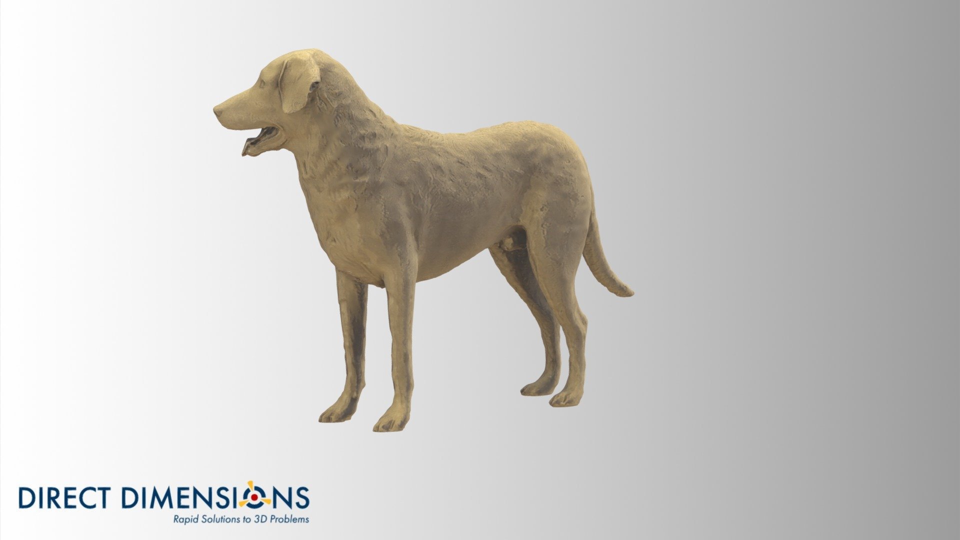 UMBC Retrieve Dog - 3D model by Direct Dimensions (@dirdim) [b275685 ...