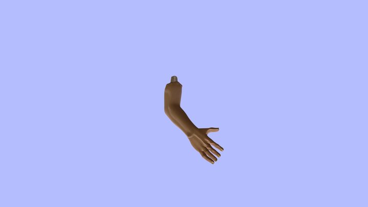 Decapitatedhand 3D models - Sketchfab