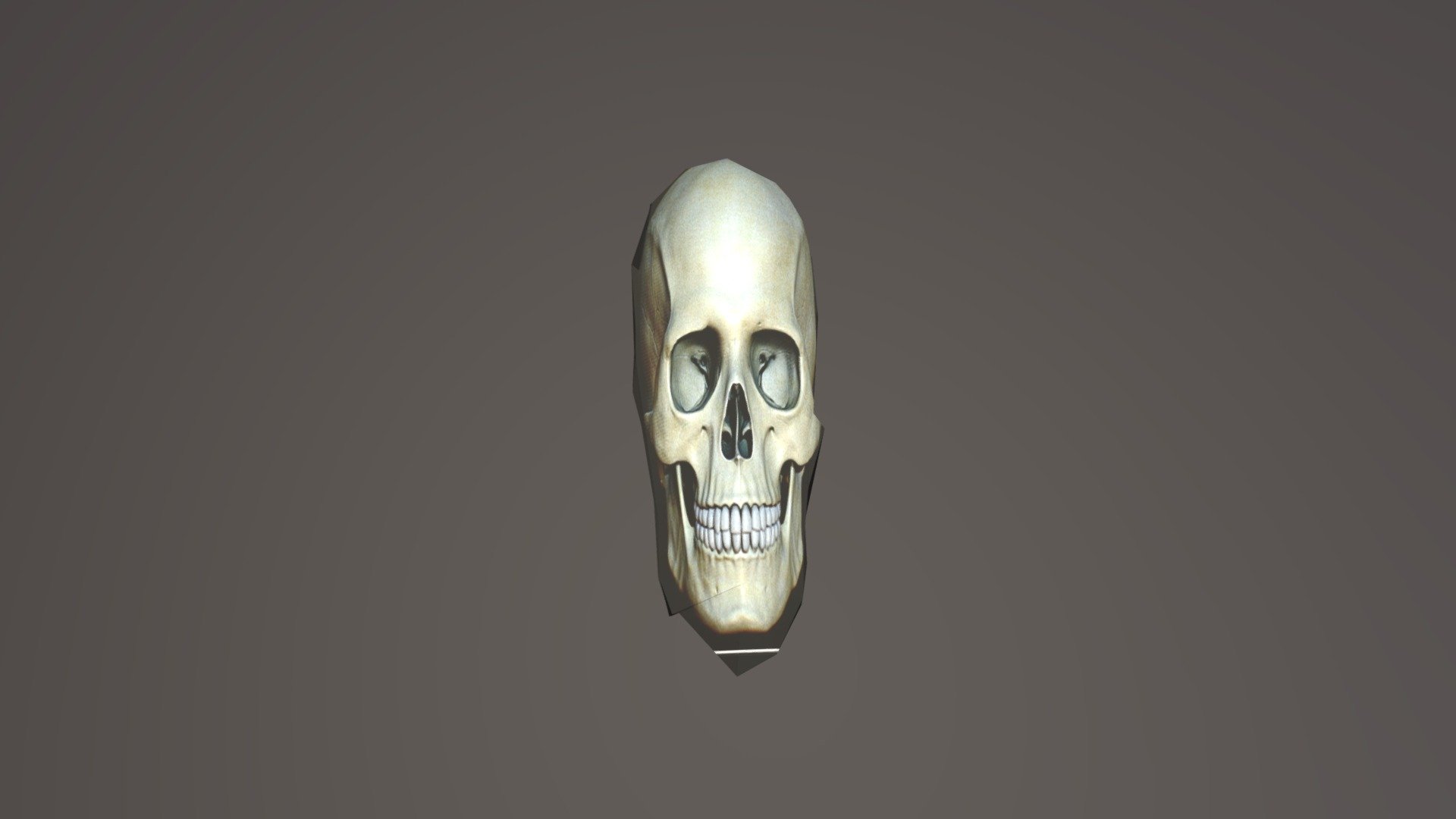 158_ Detailed Human Skull - Download Free 3D model by acharlie2019 ...