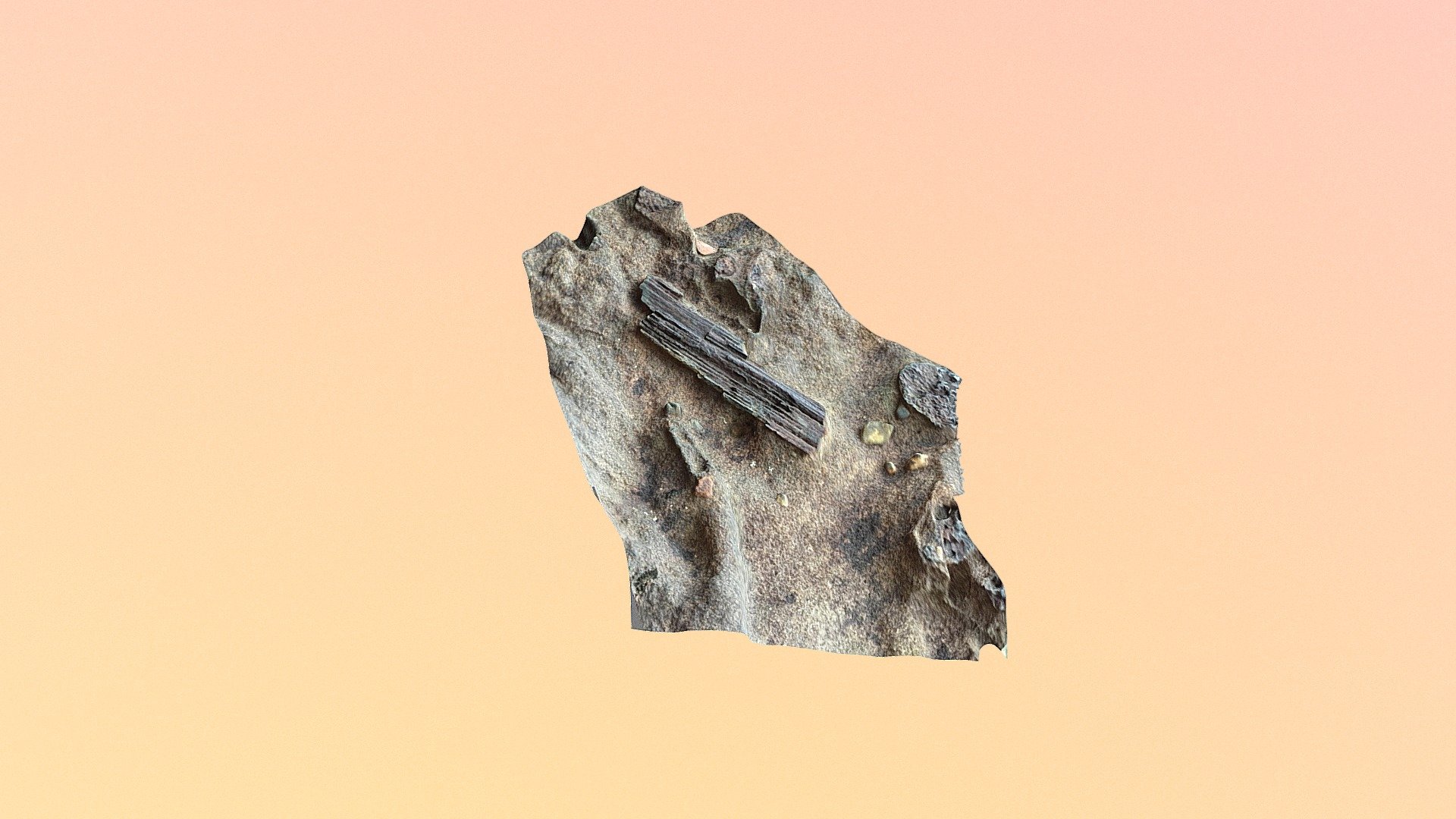 Petrified Wood - 3d Scan - 3D model by Johnson Martin (@Johnson-Martin ...