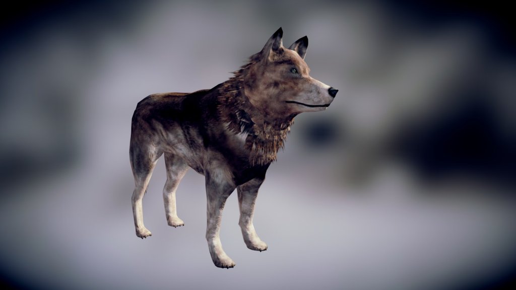 Wolf - 3D model by mig26 [b282ea9] - Sketchfab