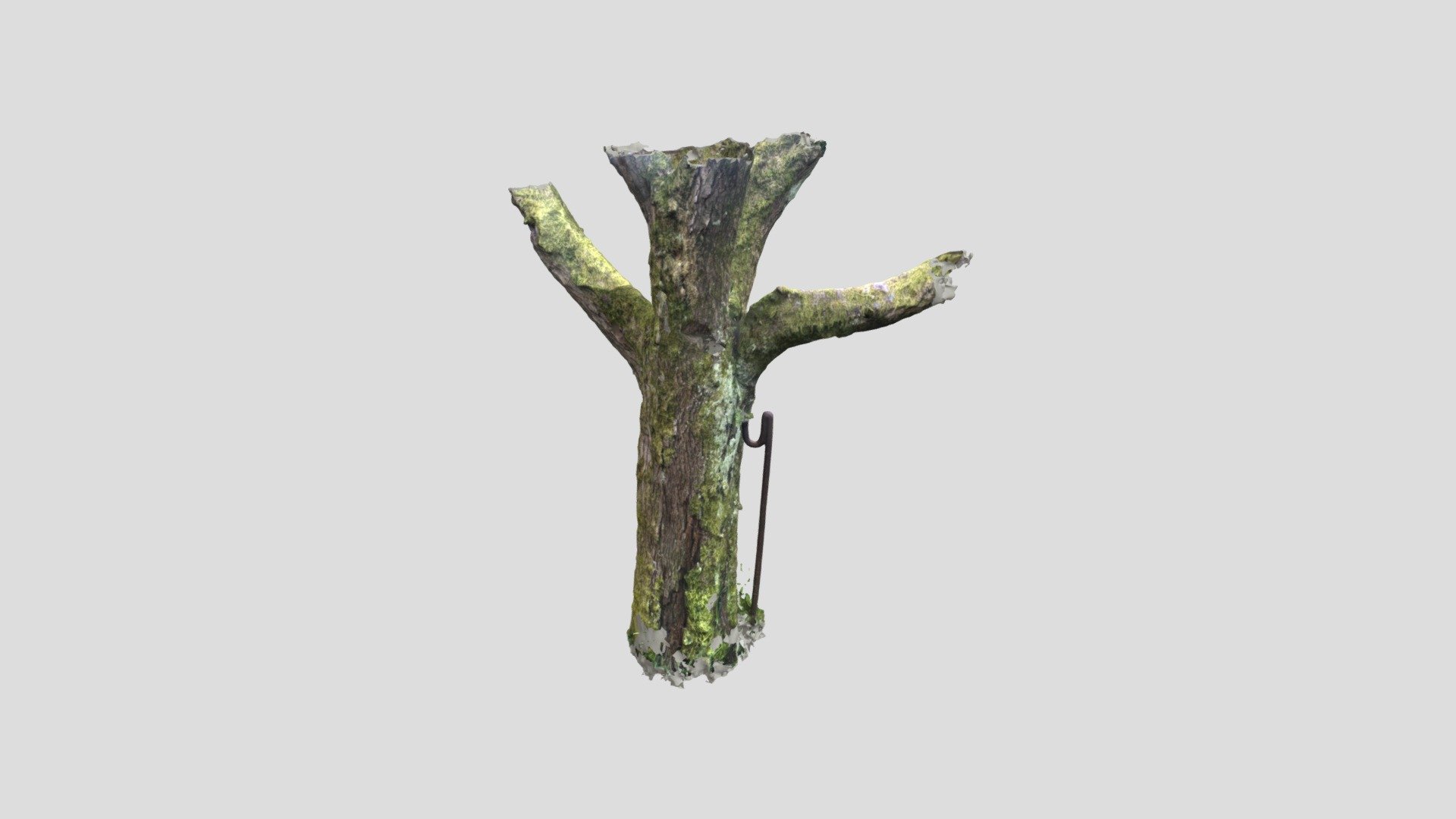 Tree in Garden - 3D model by freddieryan [b289590] - Sketchfab