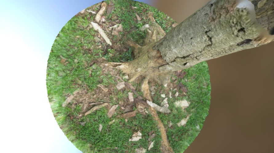 Pokok Kayu - 3D model by Mohd Yazid Abu Sari (mdyazid.as@gmail.com ...