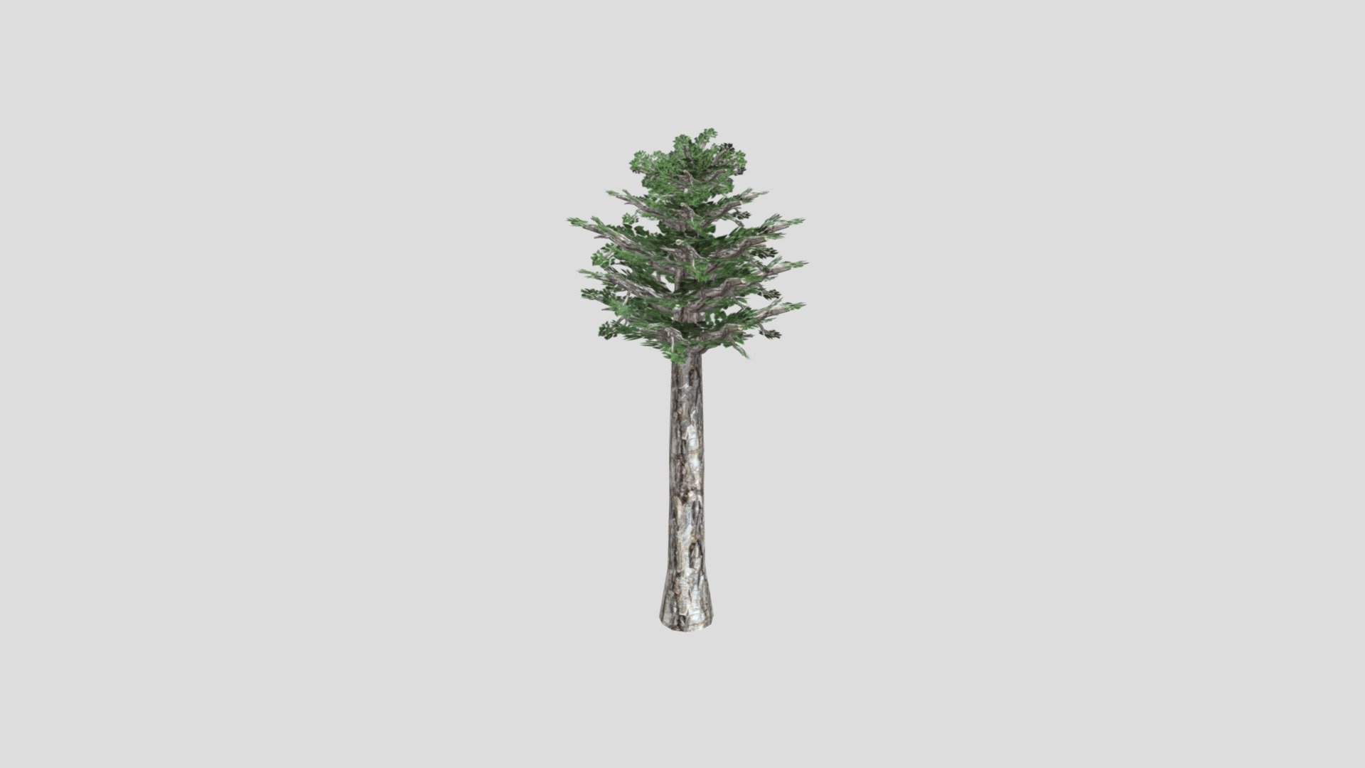 Tree - 3D model by haydencarver.06 [b28d4f3] - Sketchfab