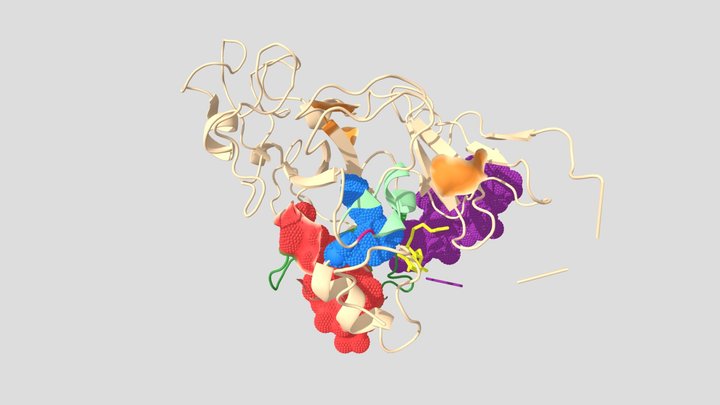 Enzyme 3D models - Sketchfab