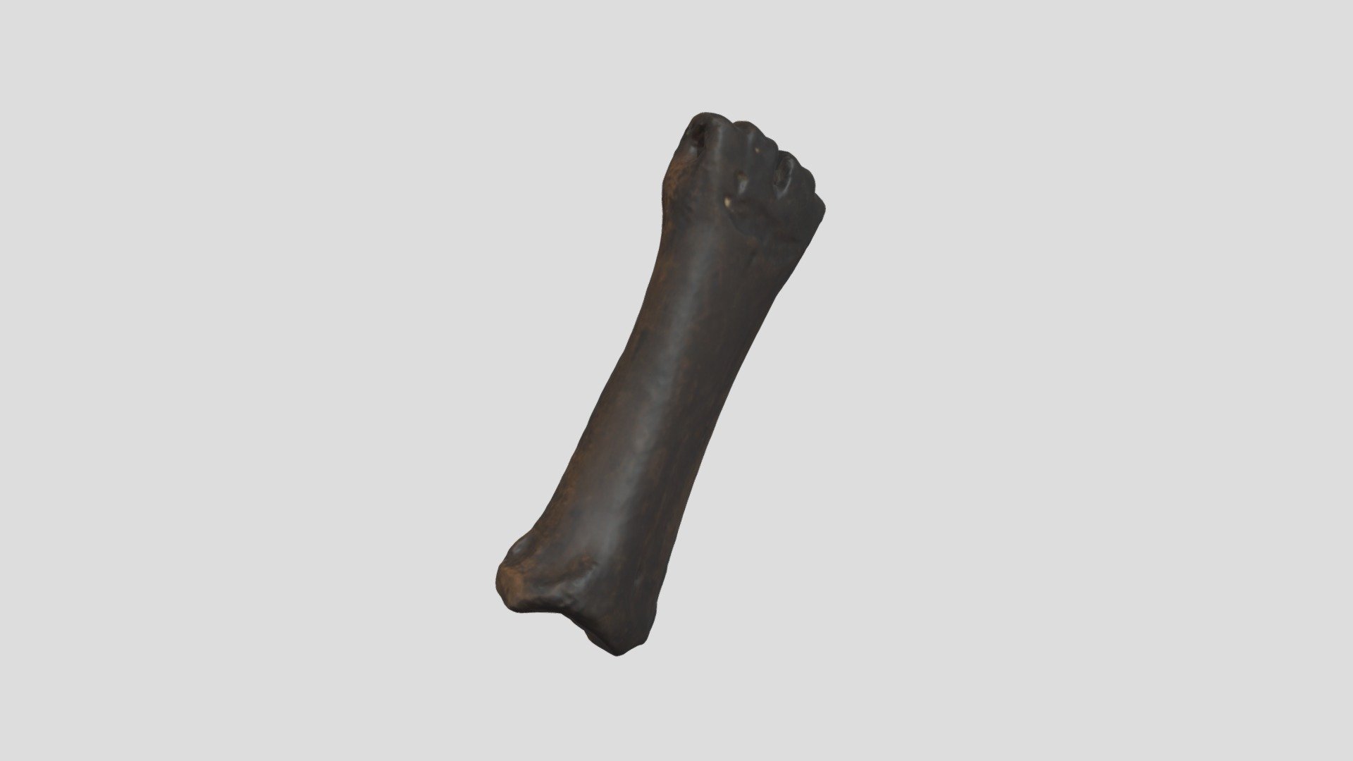 Bootherium bombifrons Metatarsal (VCU_3D_4141) - 3D model by Virtual ...