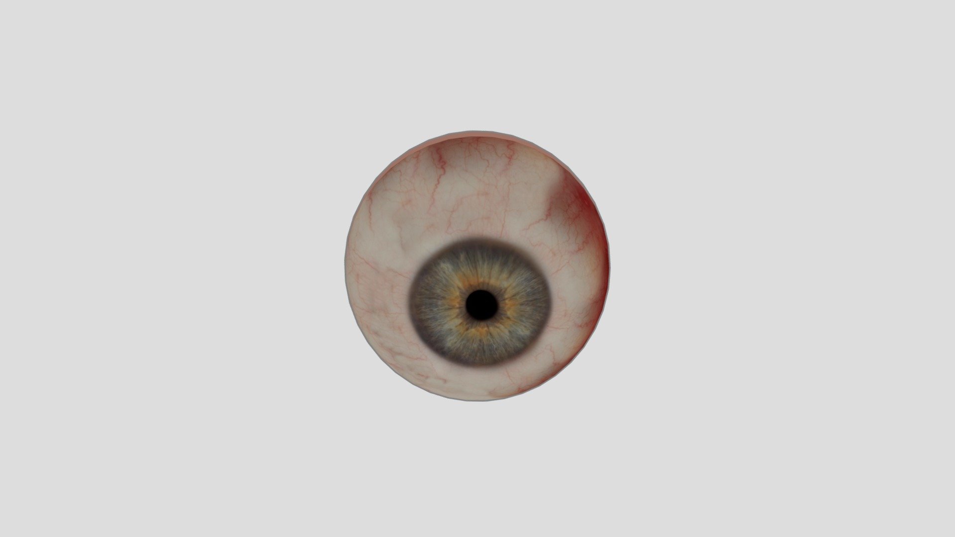 realistic_human_eye (2) - 3D model by jarell.gray [b2a32fc] - Sketchfab