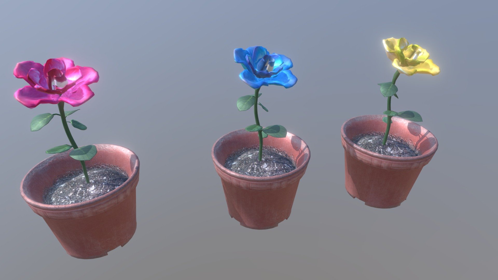 Multi colored primrose flower ( Game Asset ) - Buy Royalty Free 3D ...