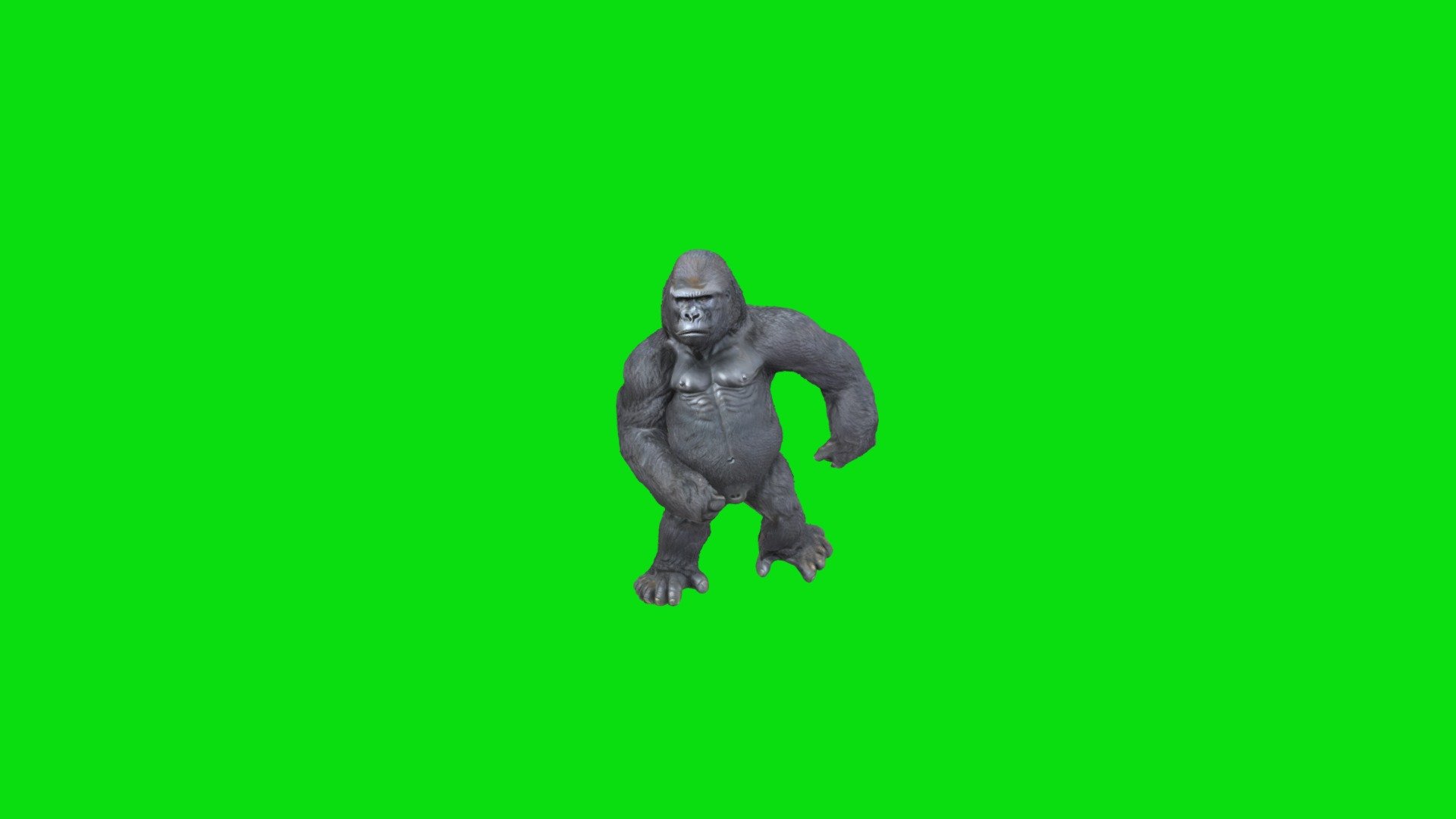 Gorilla walking 3d model ftu - Download Free 3D model by Sunny khude 3d ...