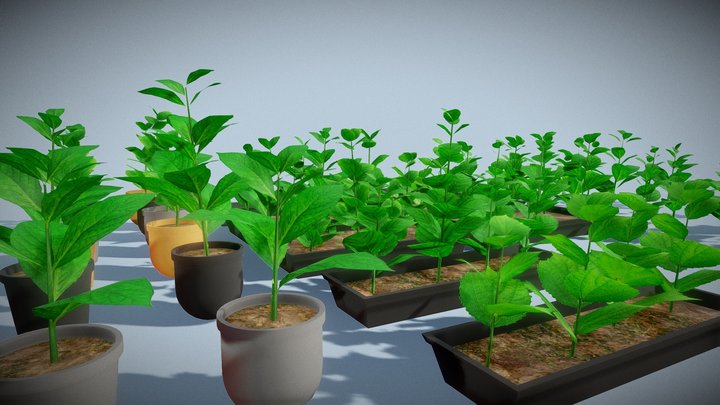 Leaves 3D models - Sketchfab